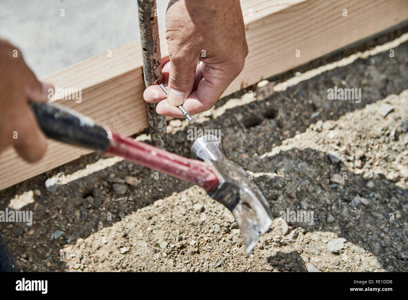 Man using a hammer and nail to fasten in a cement form stake with ...