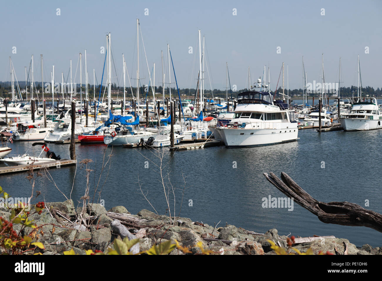 Semiahmoo hi-res stock photography and images - Alamy