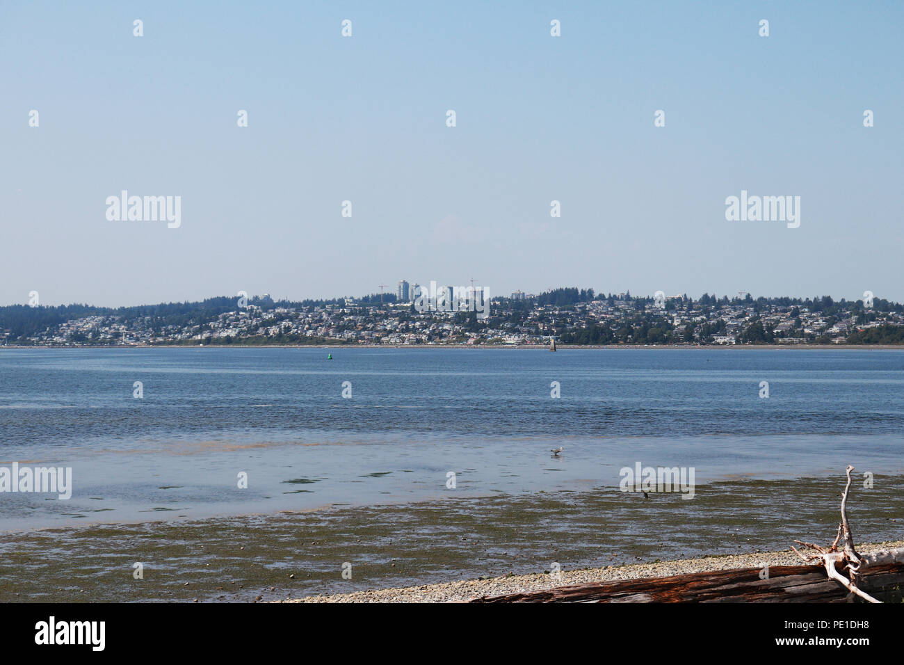 Blaine washington hi-res stock photography and images - Alamy