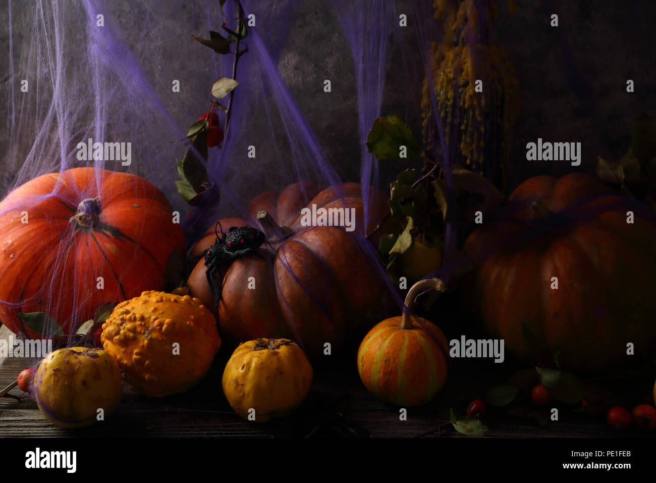 Pumpkin still life hi-res stock photography and images - Alamy