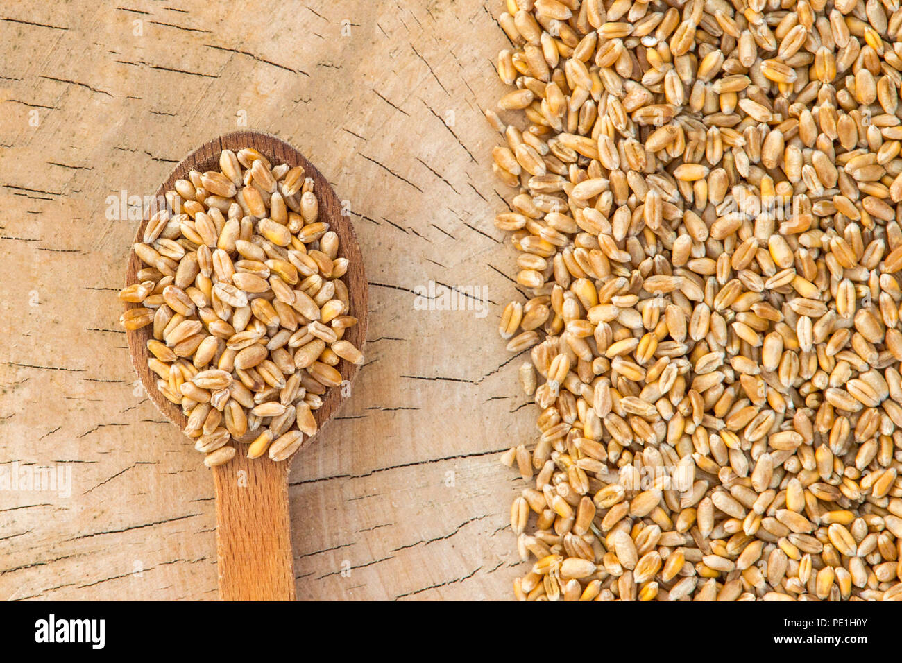 Wooden Spoon With Wheat Grains Isolated wooden and grains Background ...