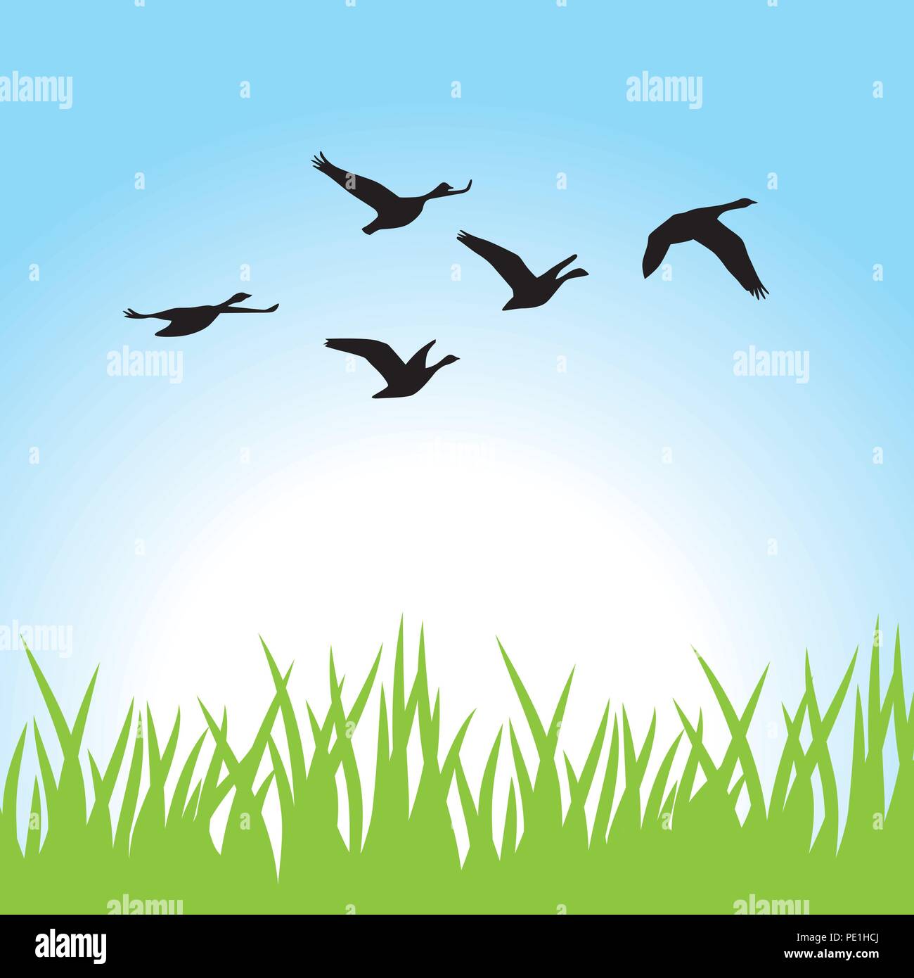 Fly Stock Vector Images - Alamy