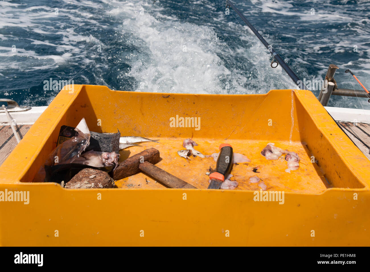 Yellow box with squid and fish heads. Bait for fishing. Hammer and ...
