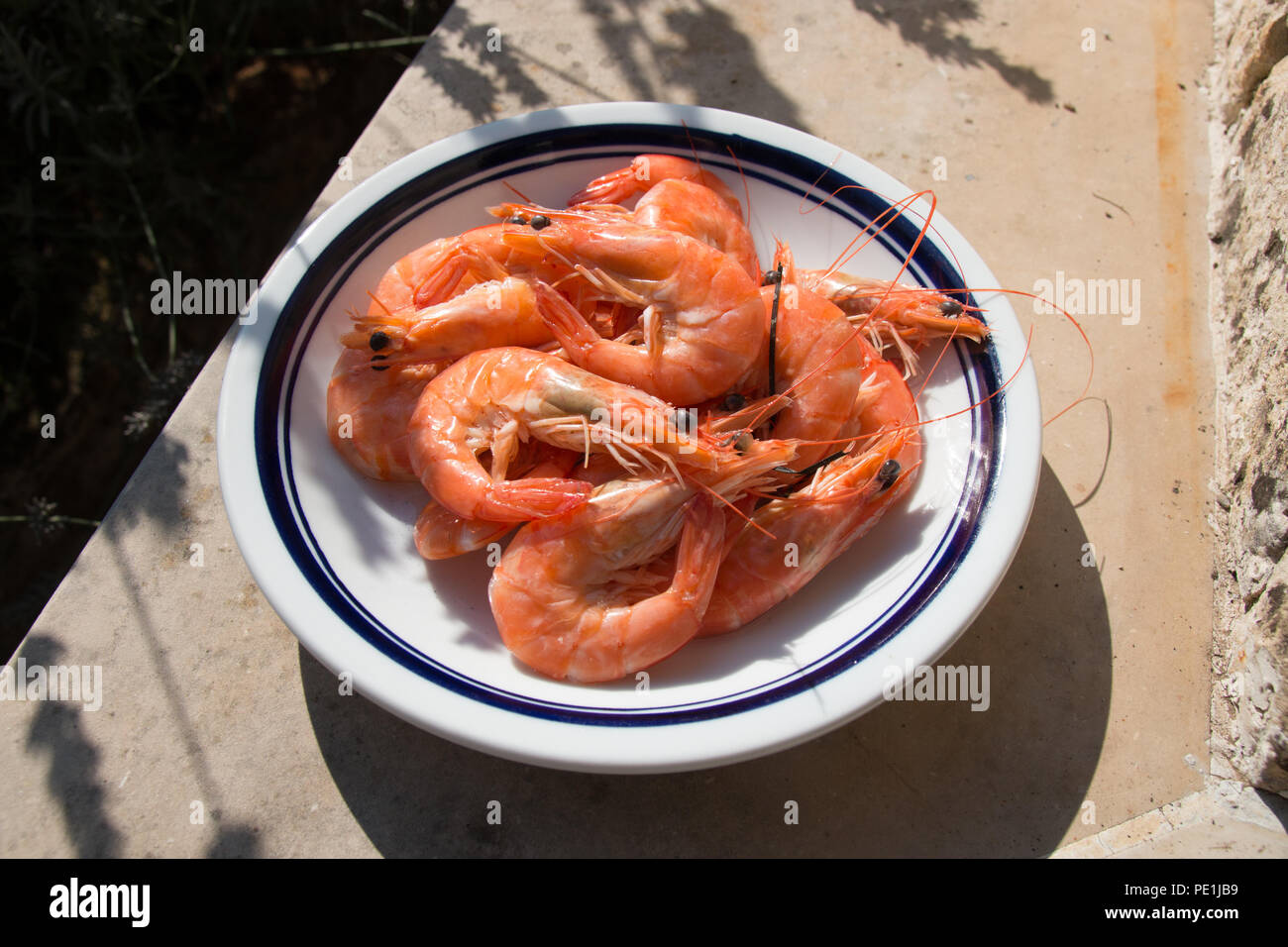 Scampis High Resolution Stock Photography and Images - Alamy