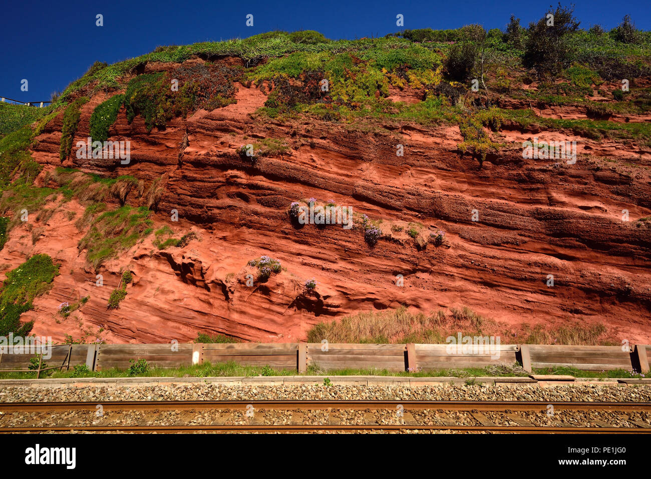 Red sandstone cliffs beside the railway line at Dawlish Stock Photo - Alamy