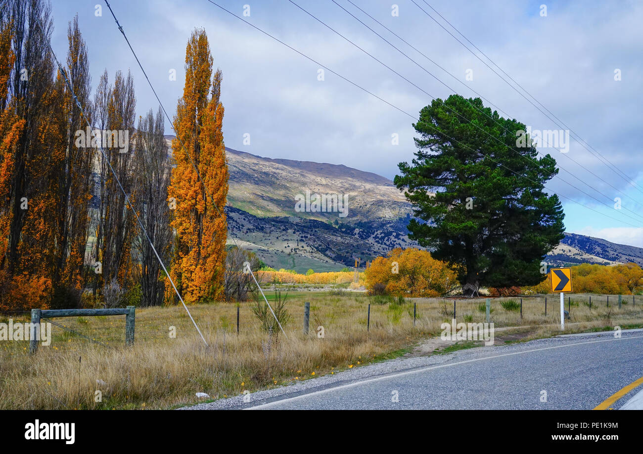 Autumn scenery of Haast Township, South Island, New Zealand Stock Photo ...