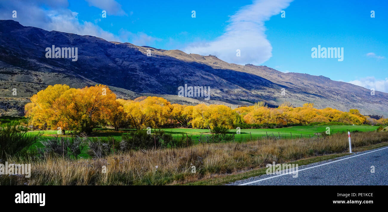 Autumn scenery of Haast Township, South Island, New Zealand Stock Photo ...
