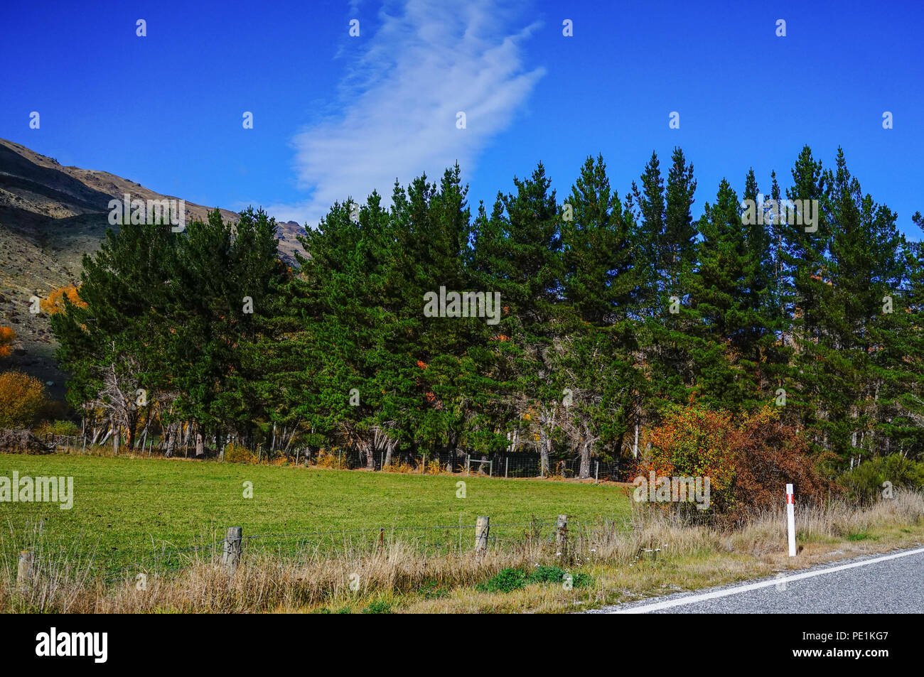 Autumn scenery of Haast Township, South Island, New Zealand Stock Photo ...