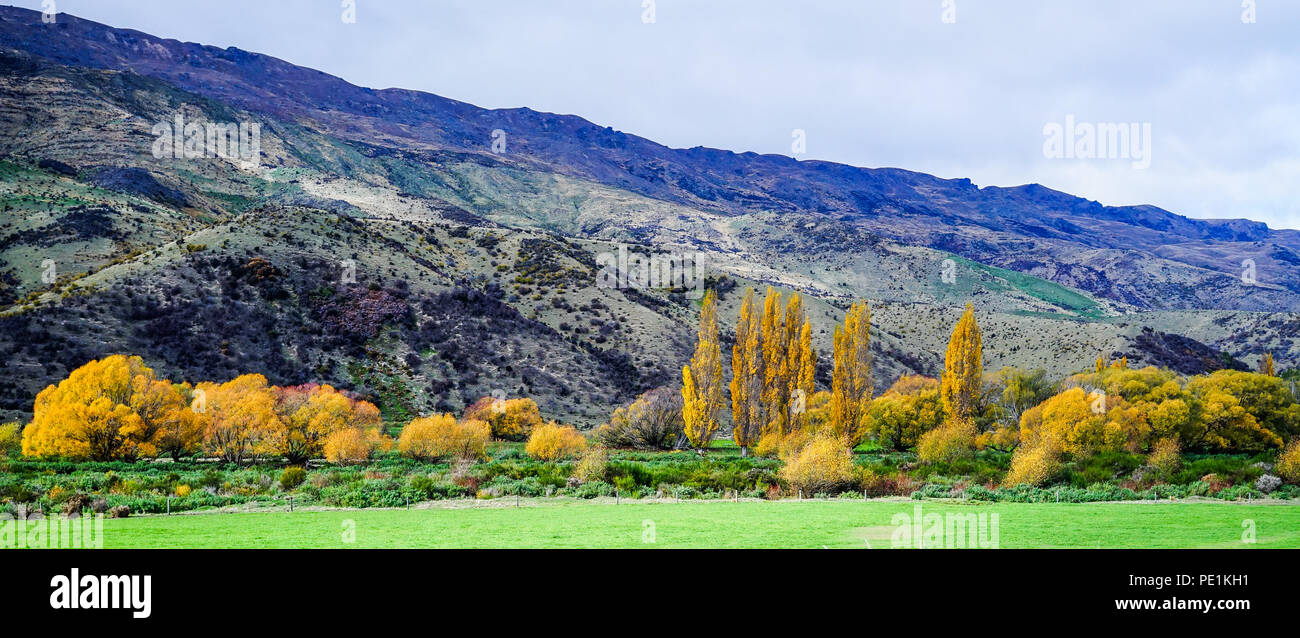 Autumn scenery of Haast Township, South Island, New Zealand Stock Photo ...