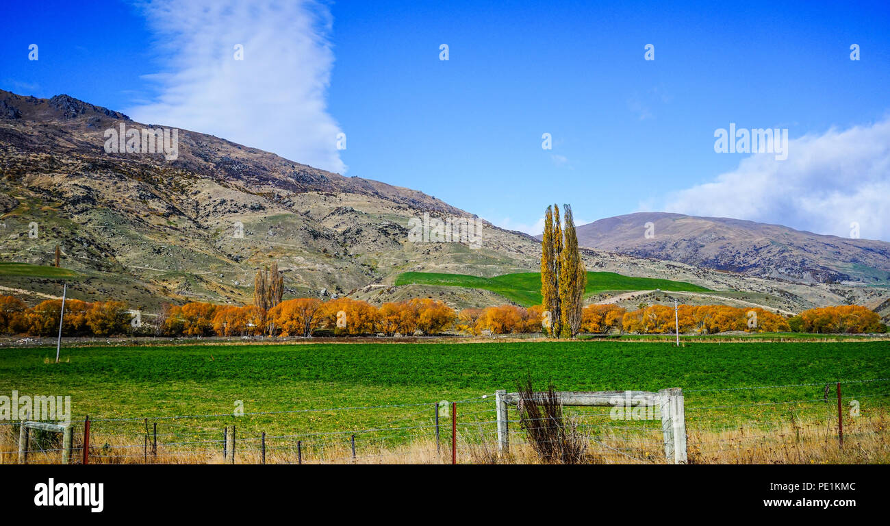 Autumn scenery of Haast Township, South Island, New Zealand Stock Photo ...