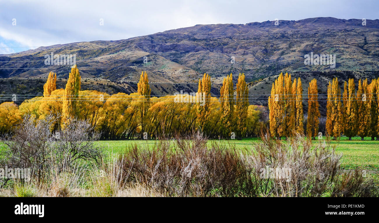 Autumn scenery of Haast Township, South Island, New Zealand Stock Photo ...