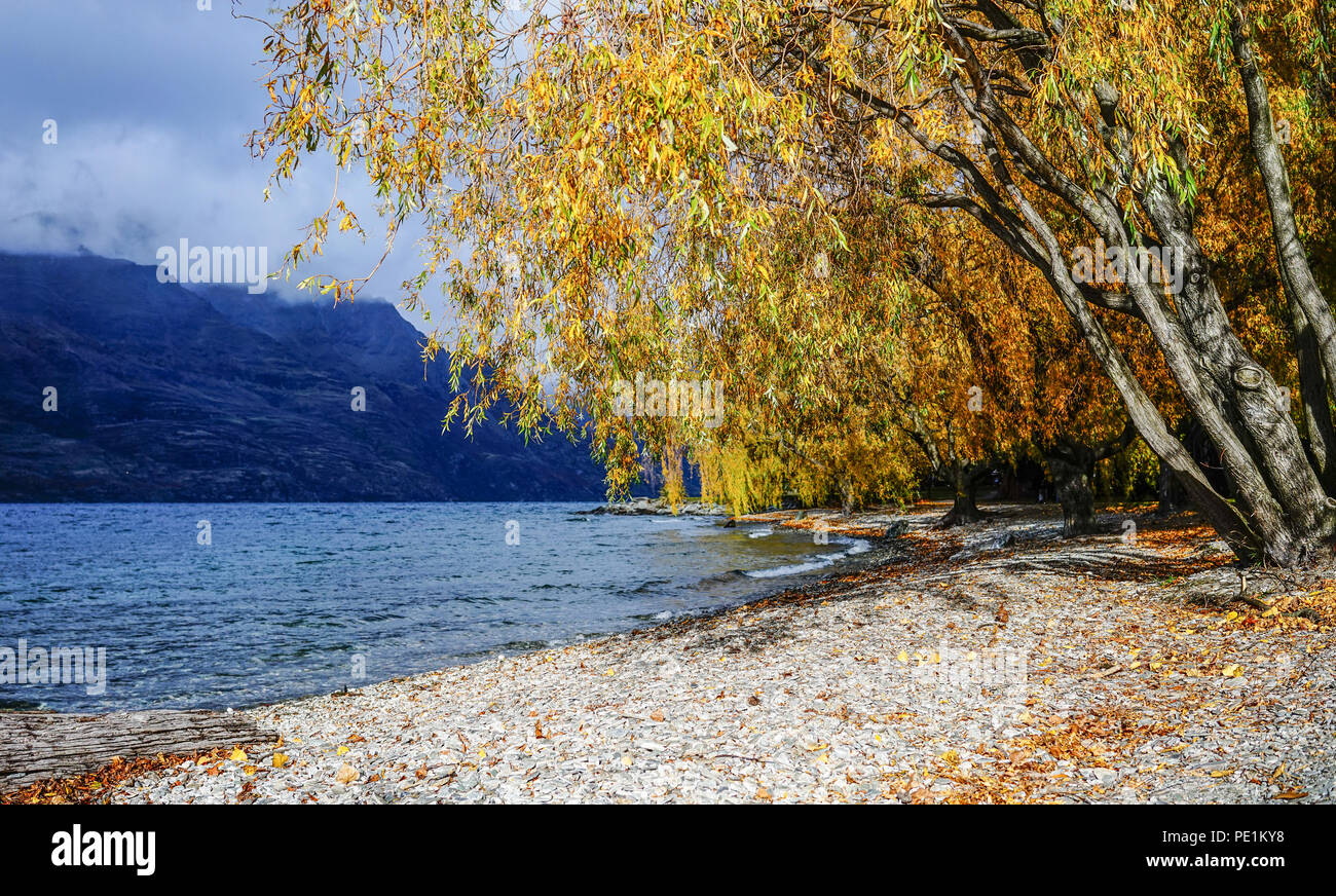 Autumn scenery of Haast Township, South Island, New Zealand Stock Photo ...