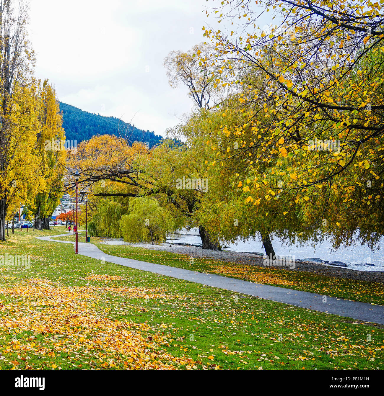 Autumn scenery of Haast Township, South Island, New Zealand Stock Photo ...