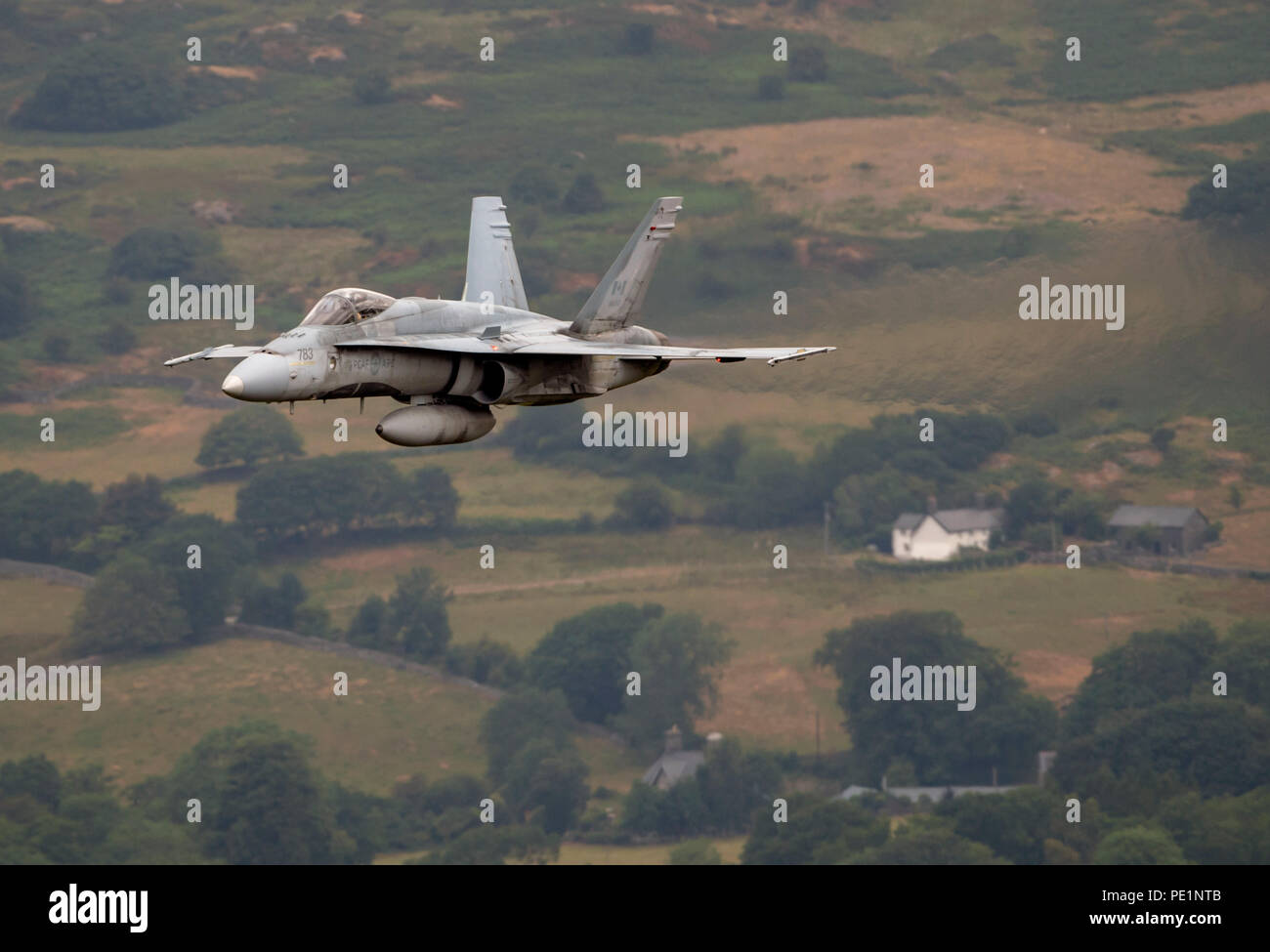 Royal Canadian Air Force McDonnell Douglas, CF 188A Hornet , low level ...