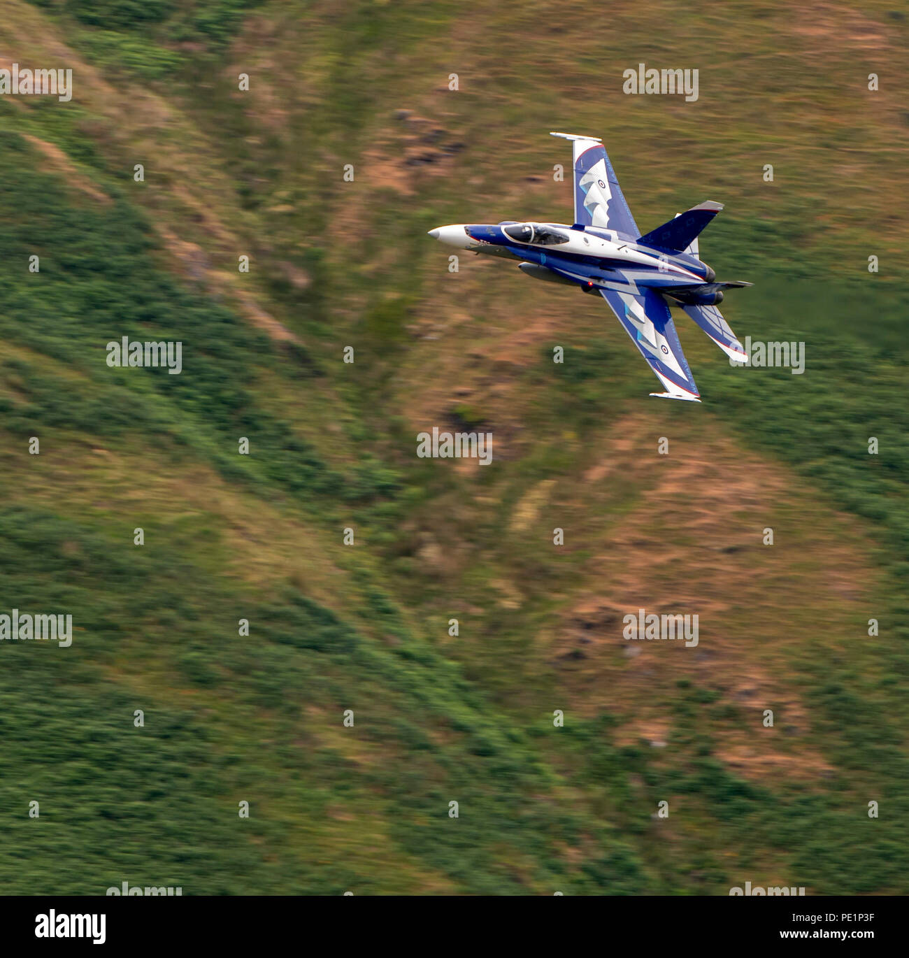 Royal Canadian Air Force, CF-18 Demo Team Hornet, in NORAD 60th ...