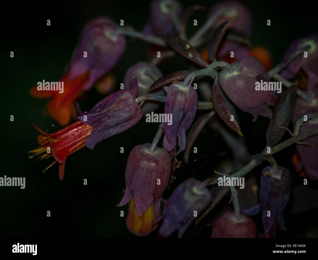 Grep background hi-res stock photography and images - Alamy