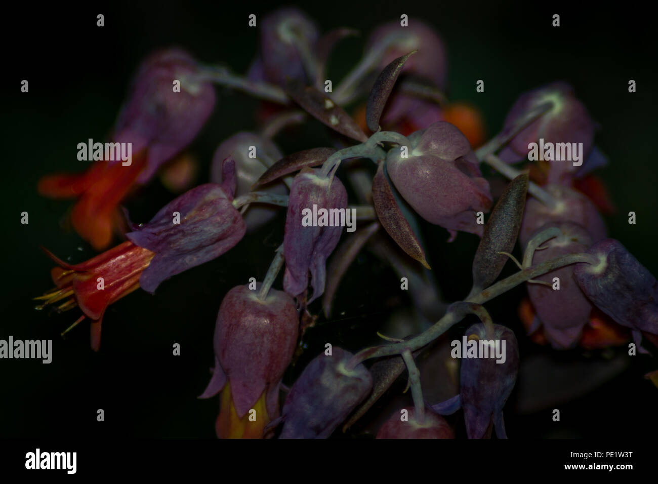 Grep background hi-res stock photography and images - Alamy