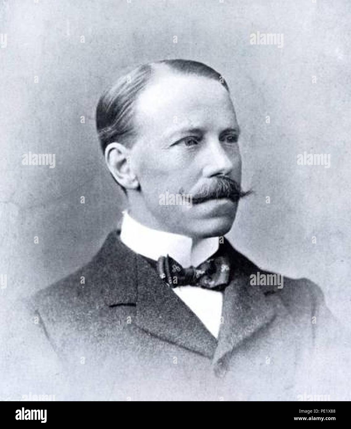 Lyster hi-res stock photography and images - Alamy