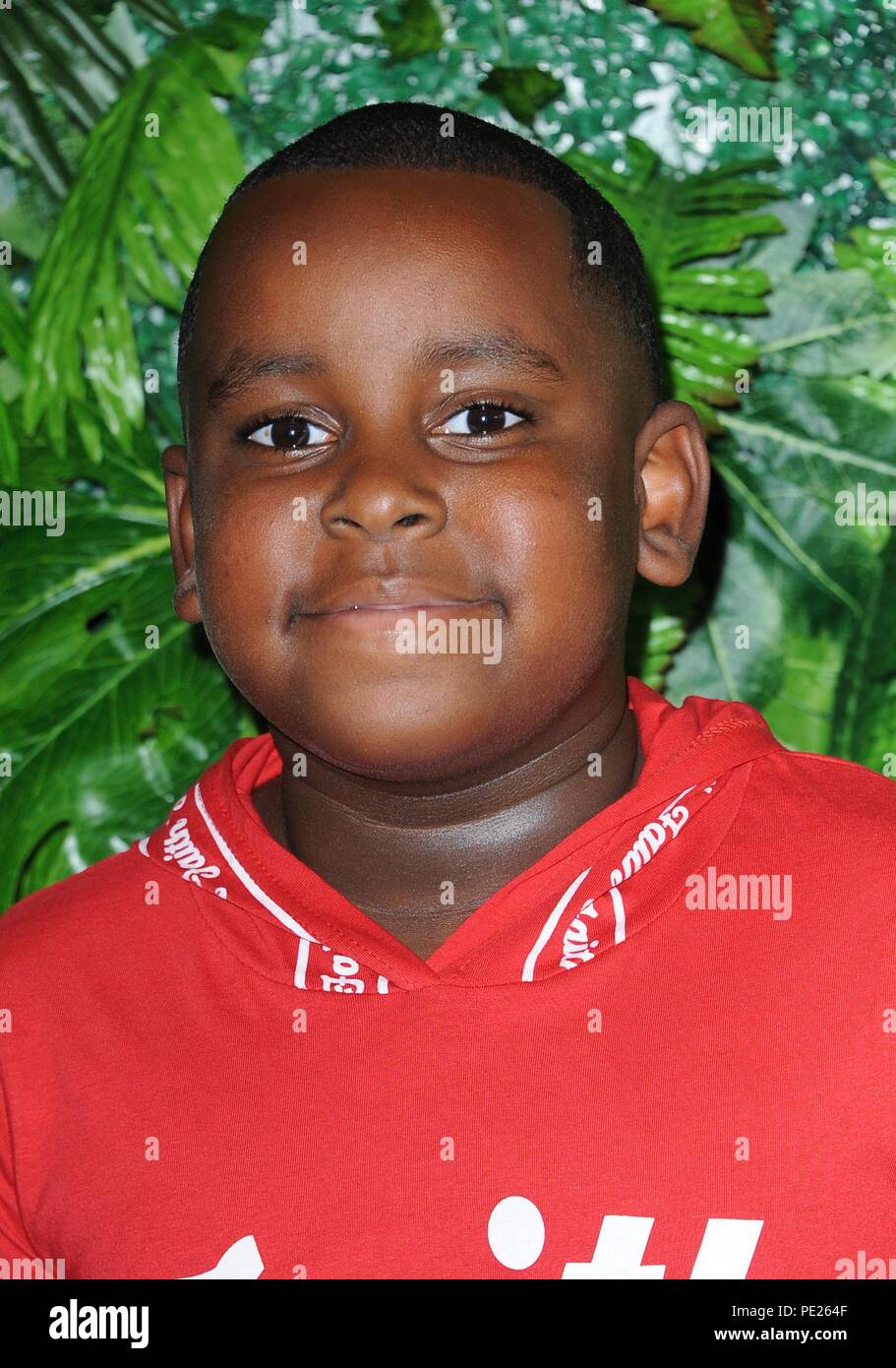 Brandon James Roy High Resolution Stock Photography and Images - Alamy