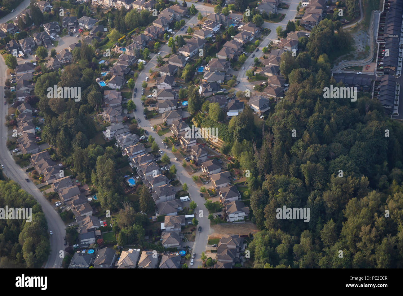 Maple trees in neighborhood hi-res stock photography and images - Alamy