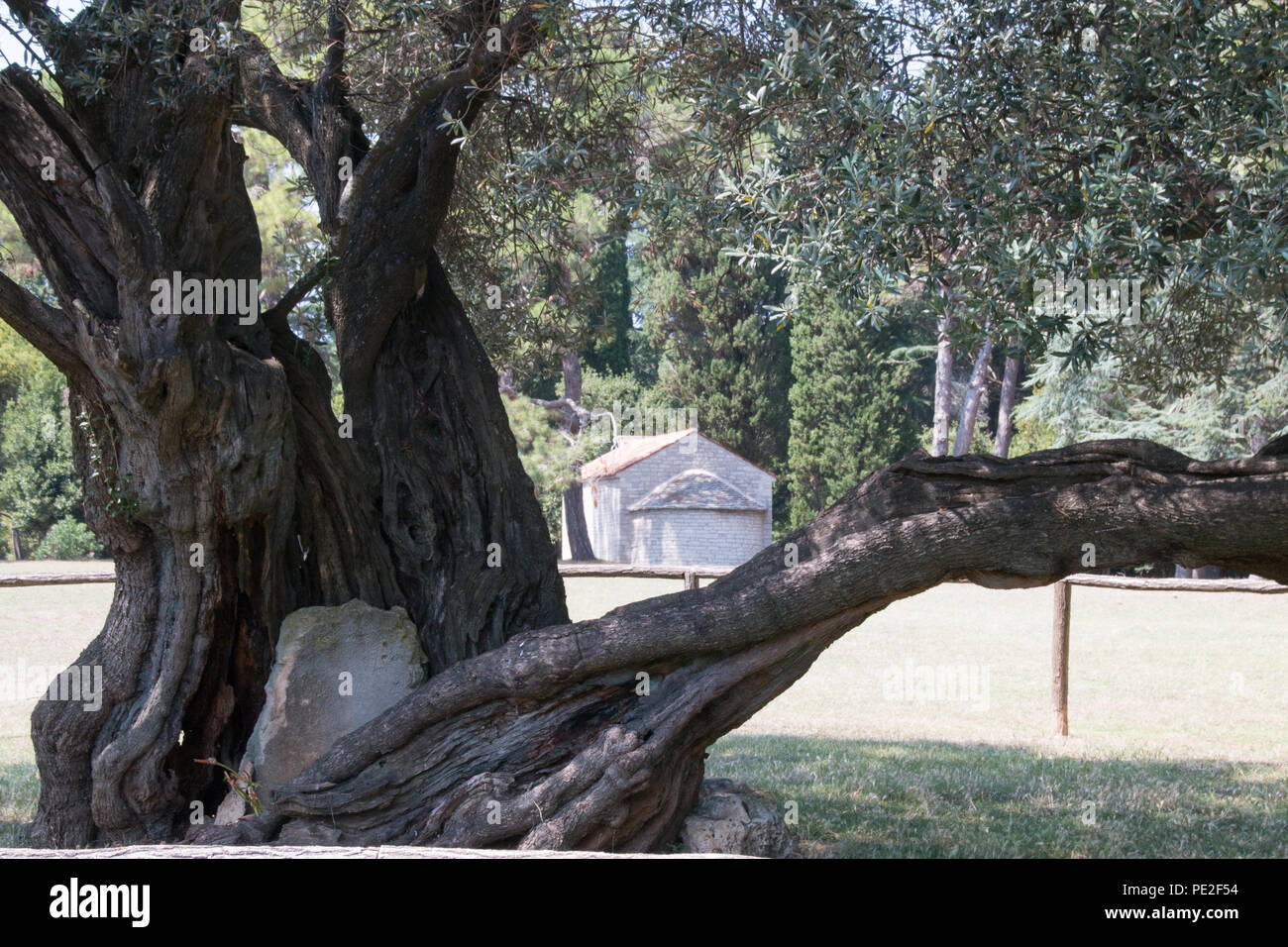 1600 years old hi-res stock photography and images - Alamy