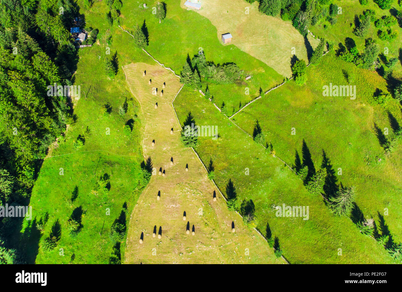 Aerial view field stacks hay hi-res stock photography and images - Alamy