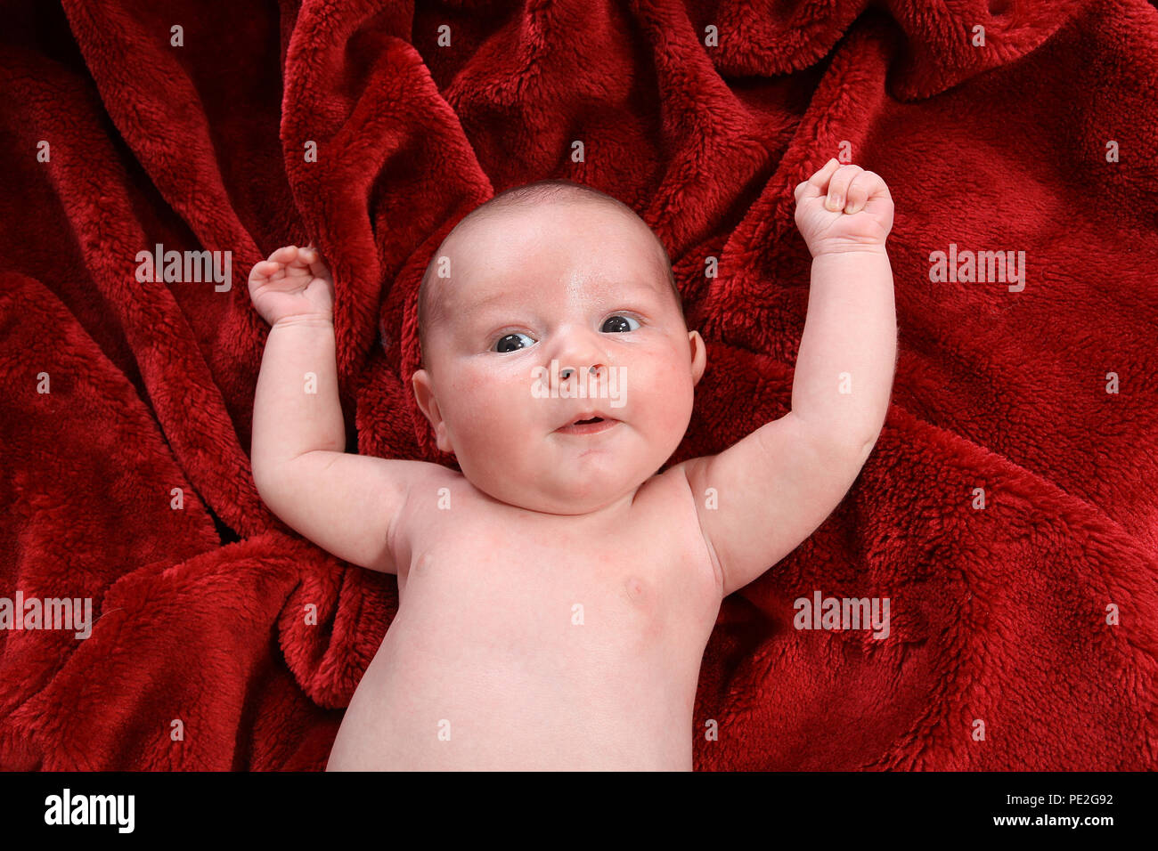 3 week old hi-res stock photography and images - Alamy