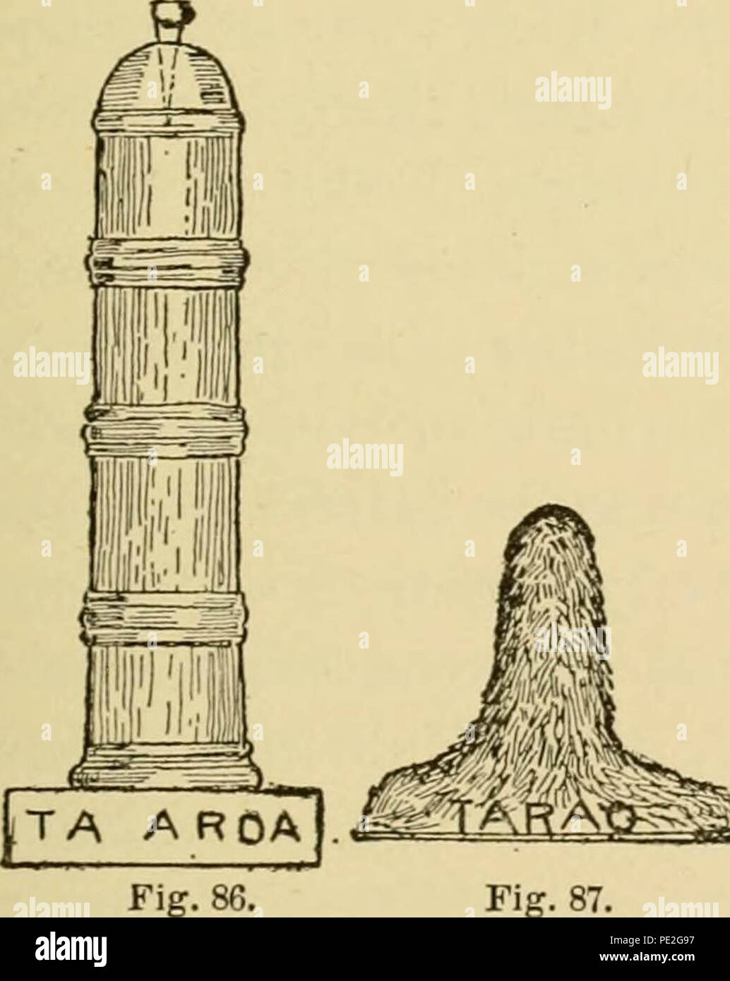 Phallic worship : an outline of the worship of the generative organs ...