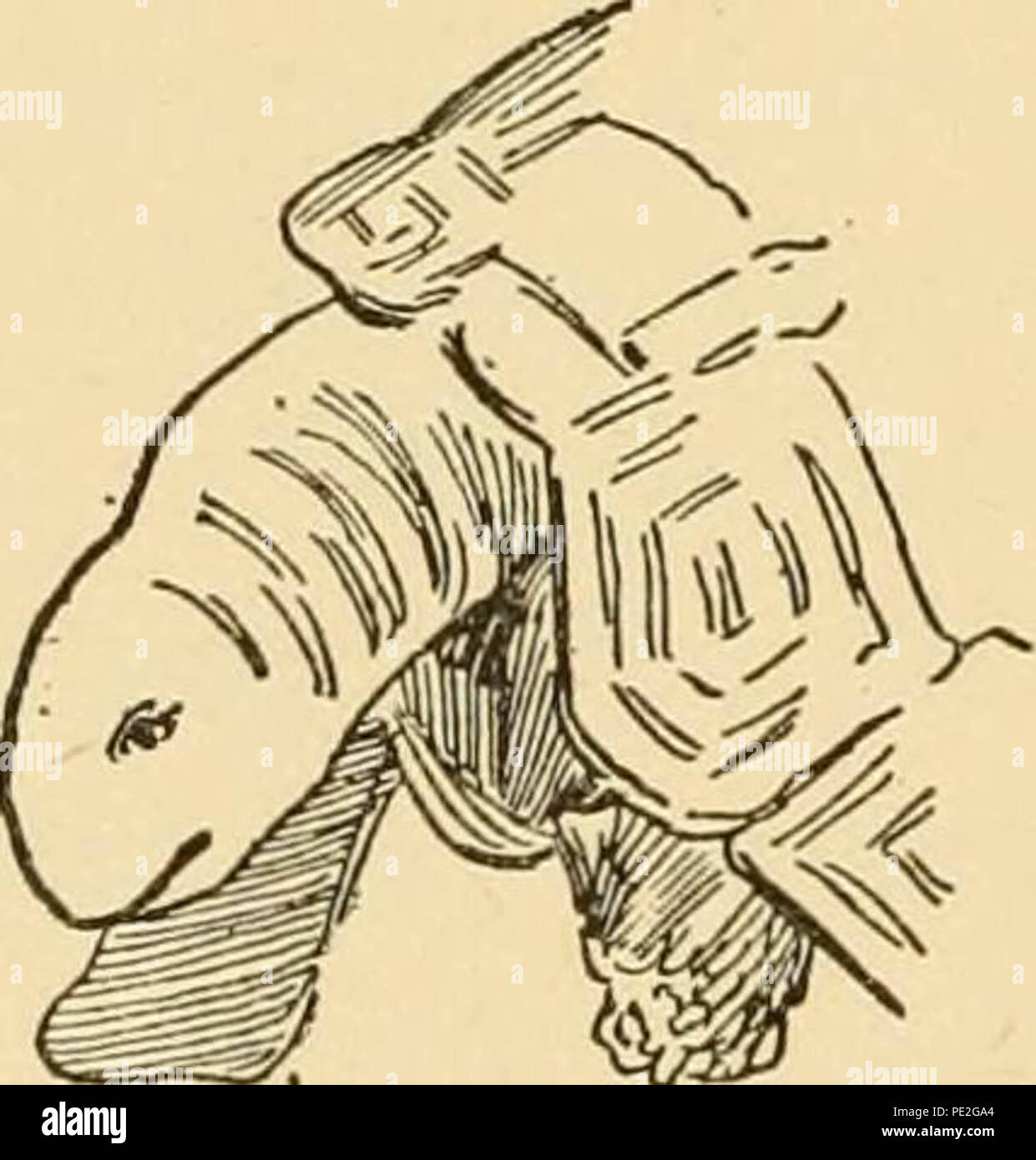Phallic worship : an outline of the worship of the generative organs ...