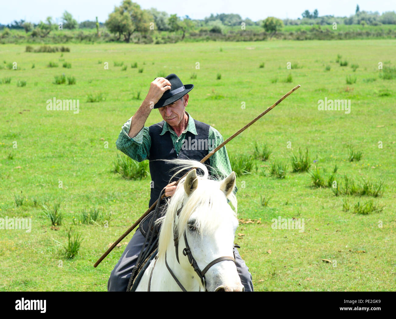Cruise tourists visit a horse and bull farm with young horses, workers ...