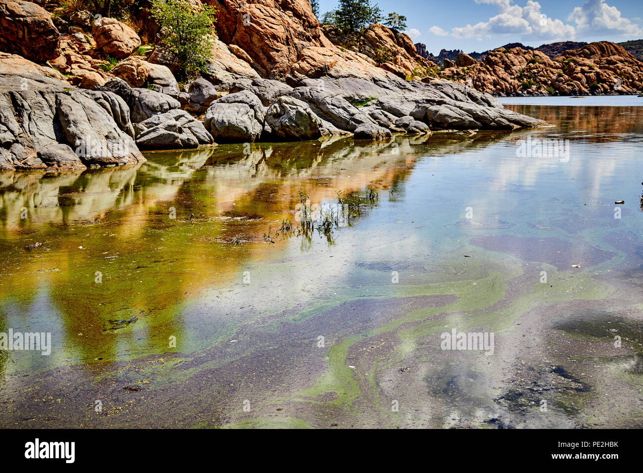 Lake water algae rocks hi-res stock photography and images - Alamy