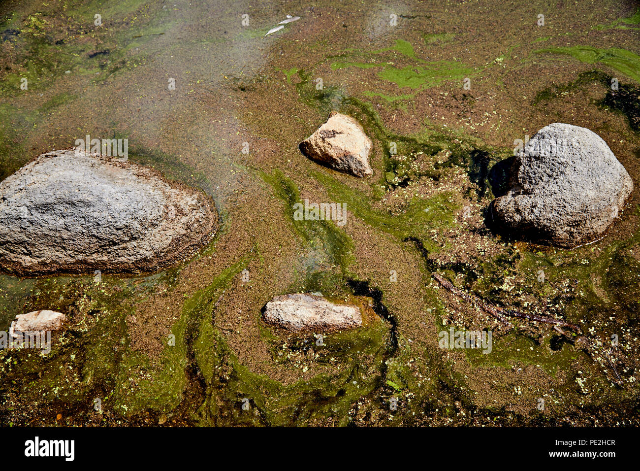 Stones around the lake hi-res stock photography and images - Alamy