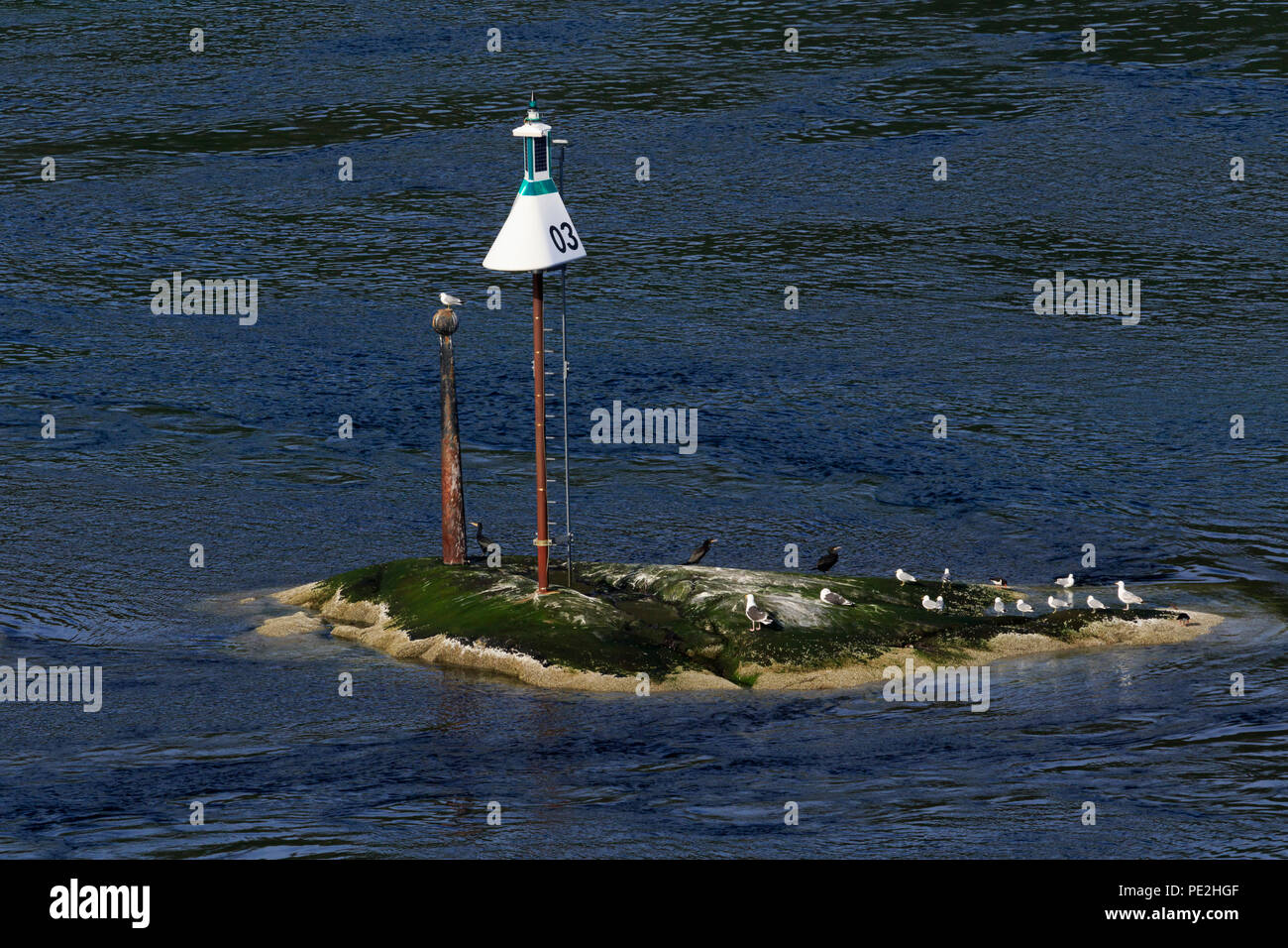 Navigation marker with cormorant hi-res stock photography and images ...