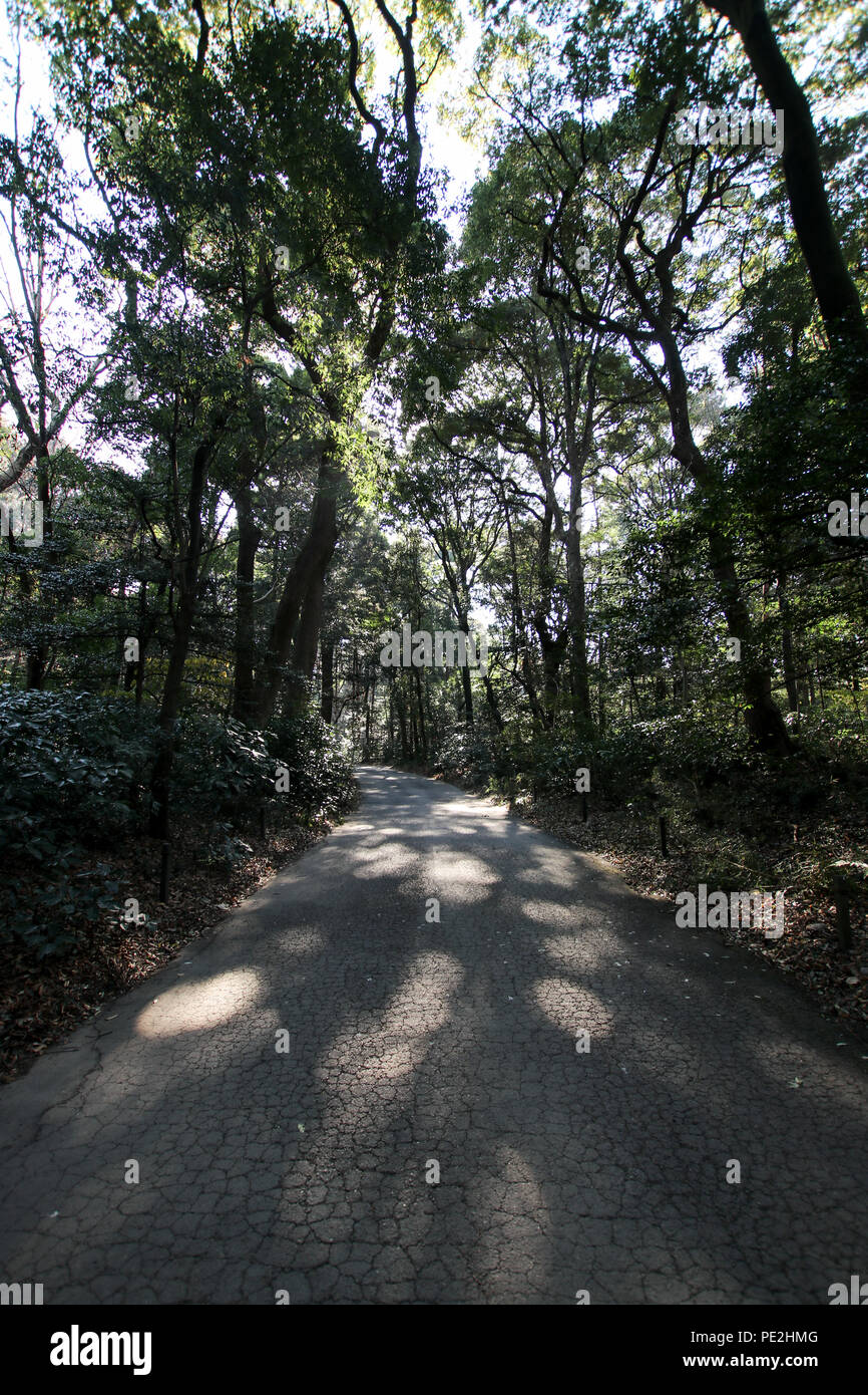 A calm corner in the middel of a vibrant city. Yoyogi-Park in Shibuya ...