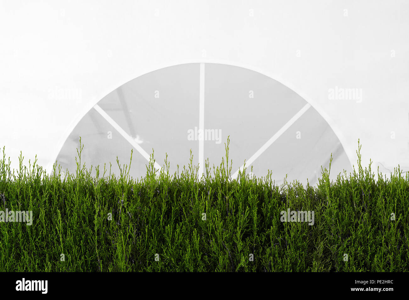 Canopy tent hi-res stock photography and images - Alamy