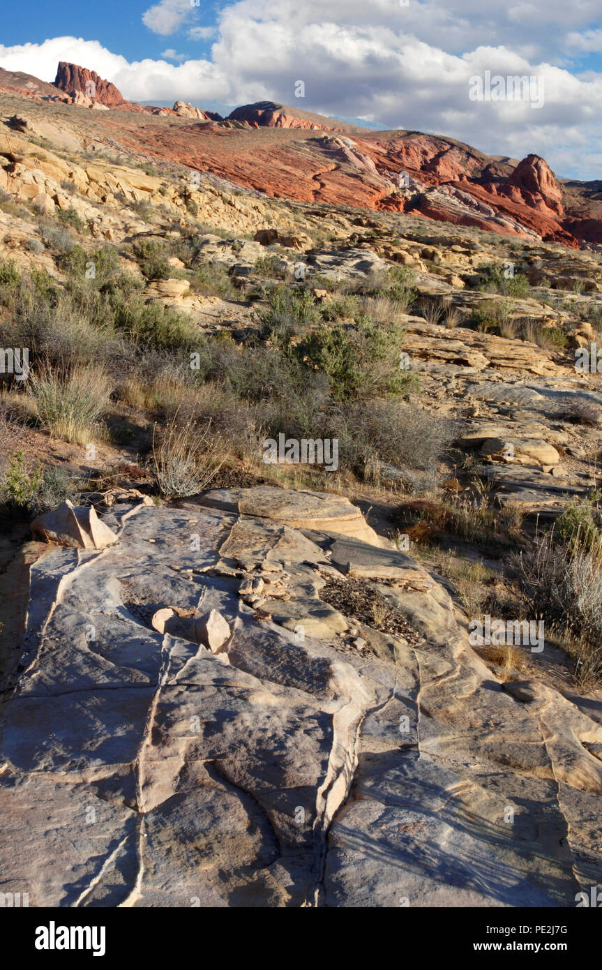 Named for the magnificent red sandstone formations such as Arch Rock ...