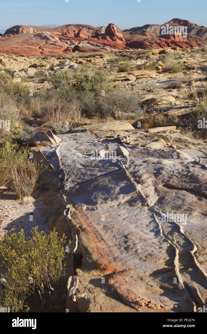 Named for the magnificent red sandstone formations such as Arch Rock ...