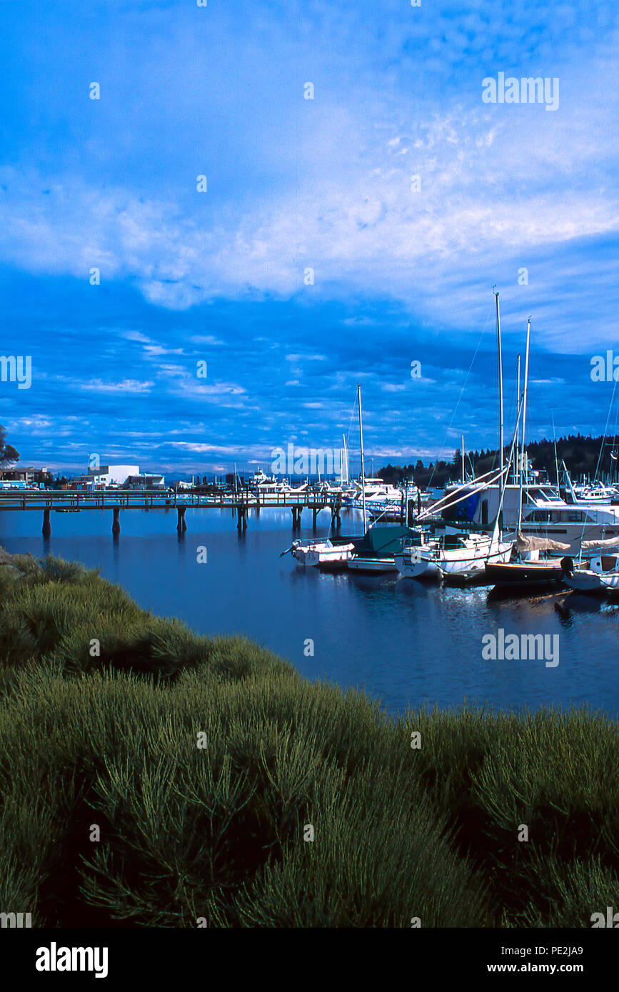 Boats in the marina of Bainbridge Island on Puget Sound near Seattle ...