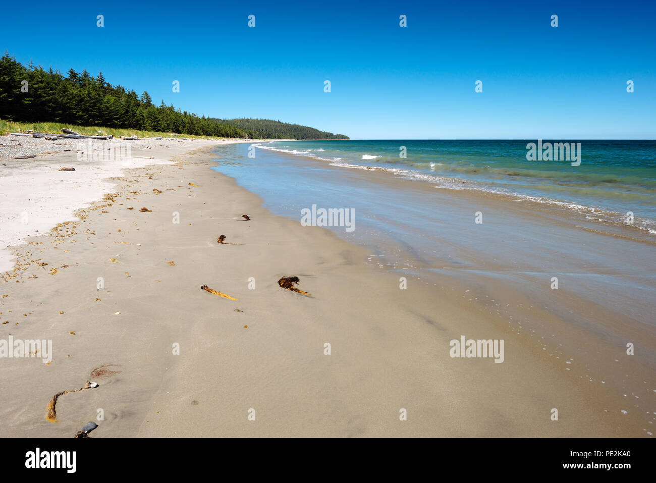 Jungle Beach on a clear summer day in Haida Gwaii, British Columbia ...