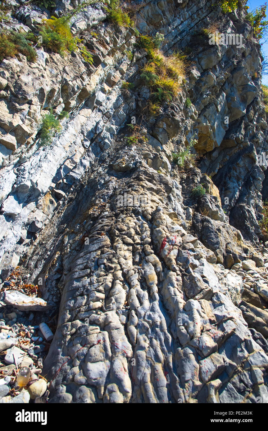 rock formations and stones of the sea coast, weathered and smoothed by ...