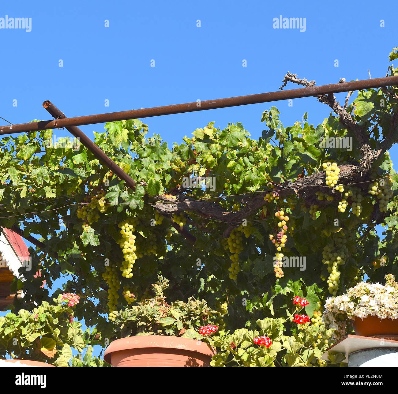 Wine village omodos hi-res stock photography and images - Alamy