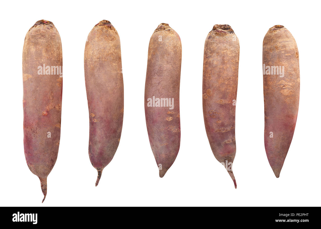 long beetroot path isolated Stock Photo - Alamy