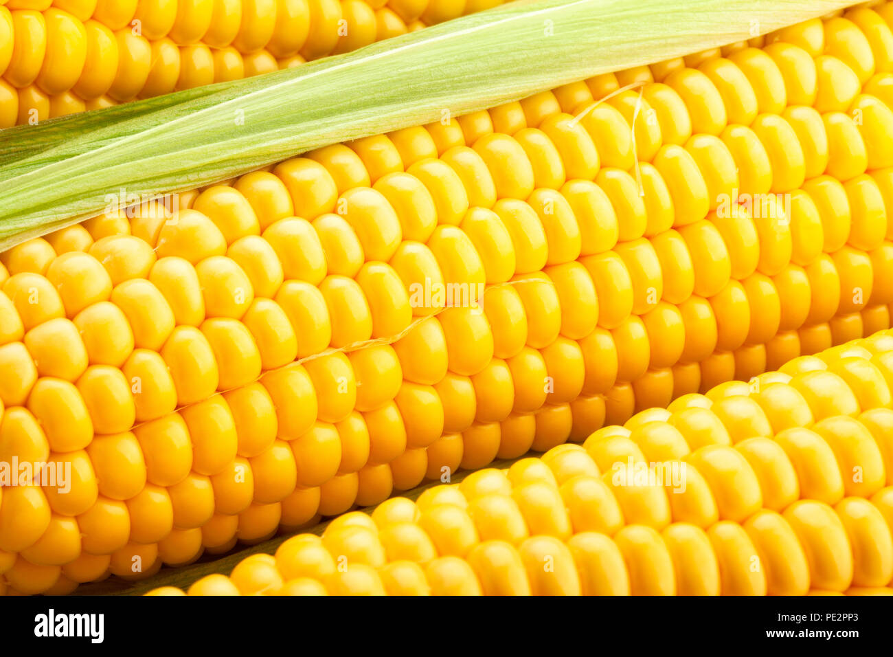 corn macro closeup Stock Photo - Alamy
