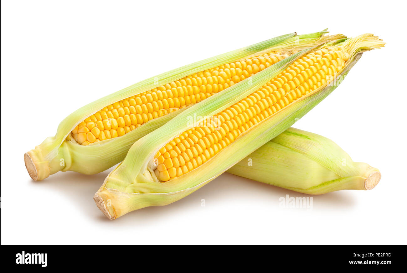 corn path isolated Stock Photo - Alamy
