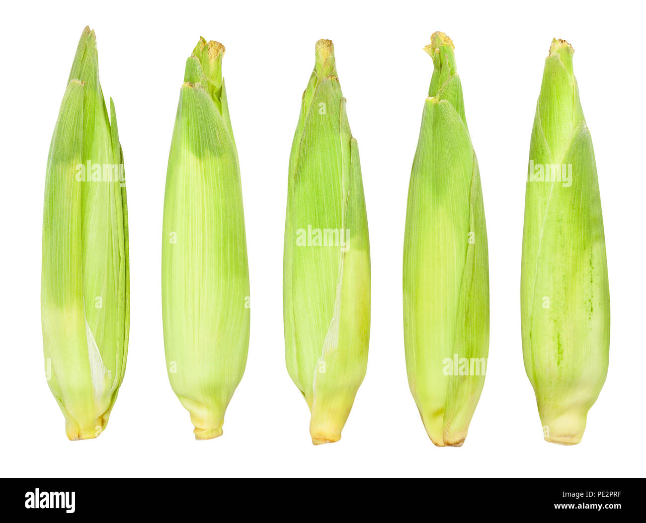 corn path isolated Stock Photo - Alamy