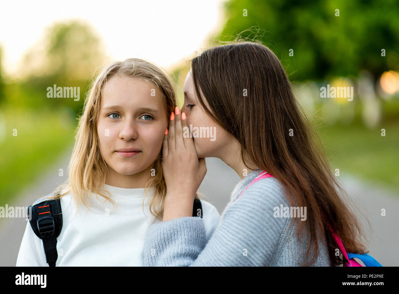 Girls schoolgirls teenagers, in summer in the park, talking on the ear ...