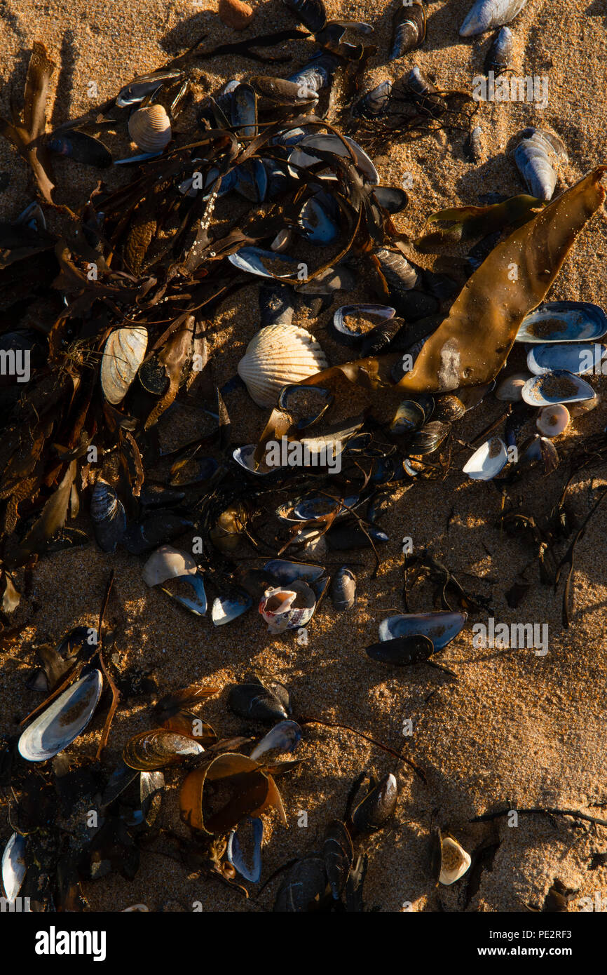 Loch fleet coul hi-res stock photography and images - Alamy