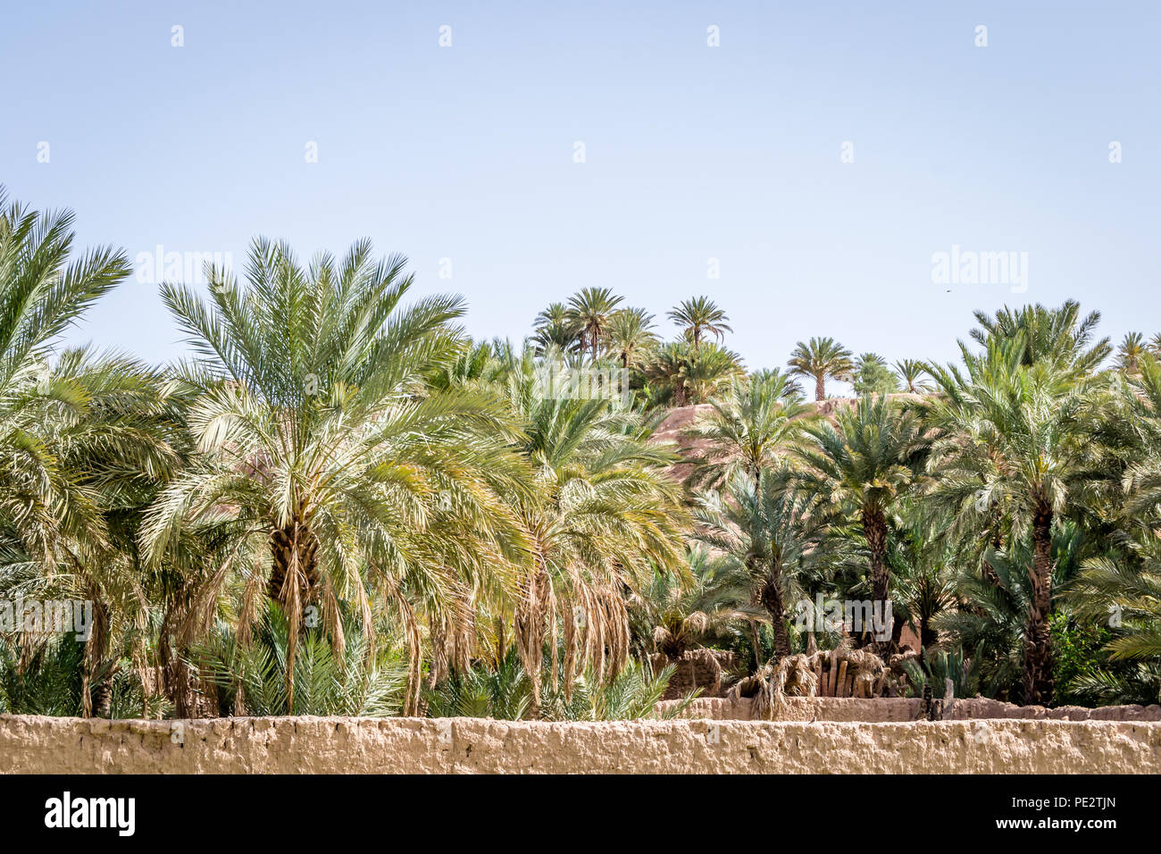 Figuig morocco oriental hi-res stock photography and images - Alamy