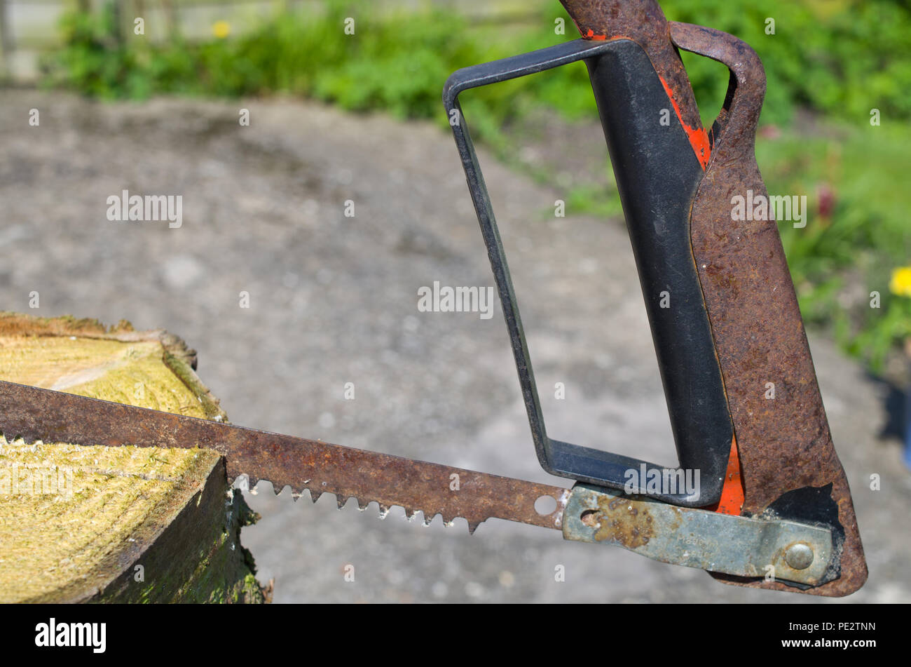 Saw log hi-res stock photography and images - Alamy