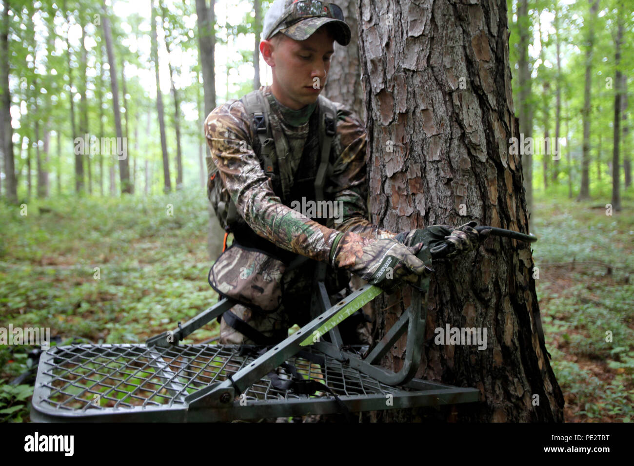 Restraint system hi-res stock photography and images - Alamy